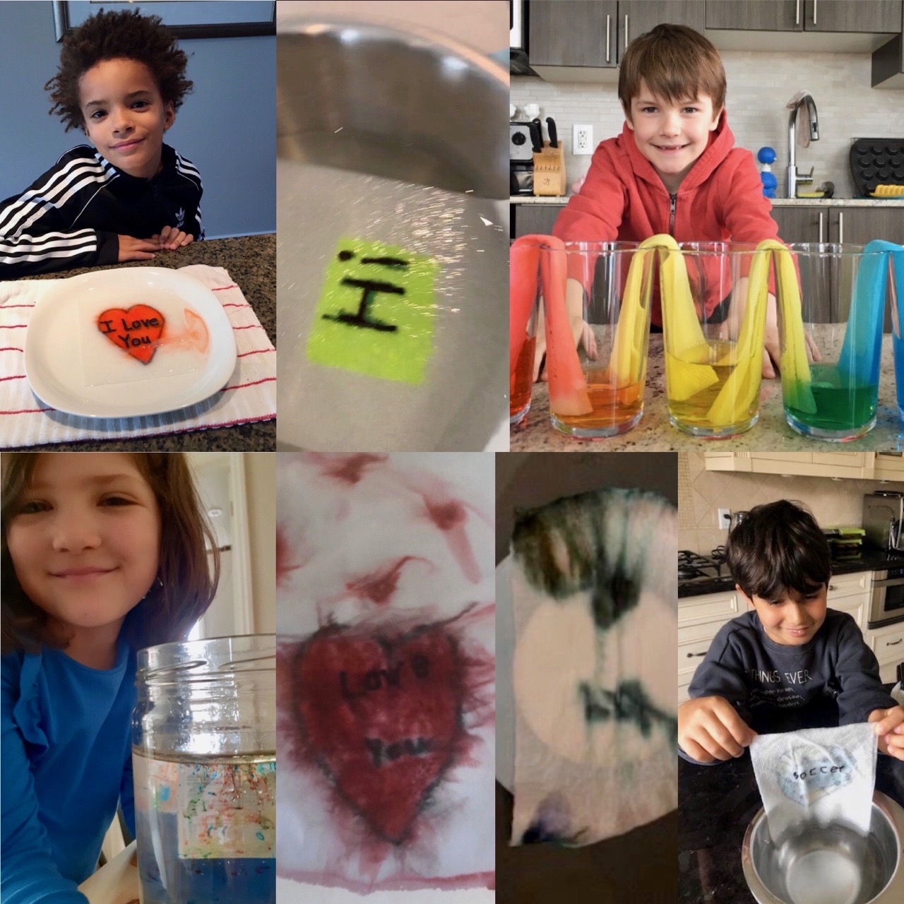 Gr.2 Paper Towel Experiment – CRESTWOOD